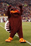 College Mascots: The Good, The Bad, and The Ugly | The Lone Girl in a Crowd