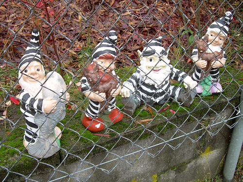 Fun with Garden Gnomes | The Lone Girl in a Crowd