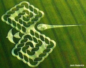 The Mysterious World of Crop Circles | The Lone Girl in a Crowd