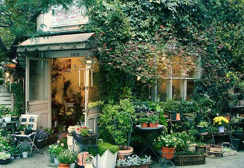 The Quaint Gardening World of Greenhouses and Garden Sheds | The Lone ...