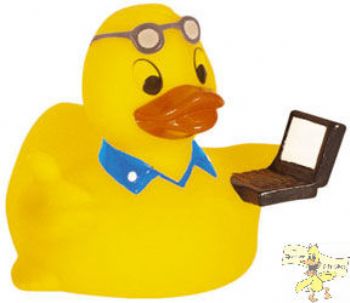 The Quacky World of Rubber Duckies | The Lone Girl in a Crowd