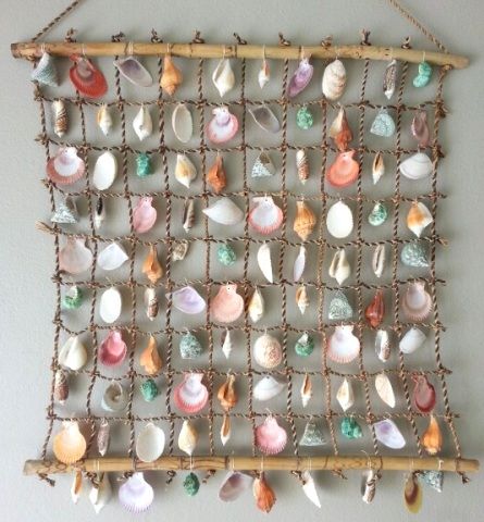 The Seaside World of Seashells | The Lone Girl in a Crowd