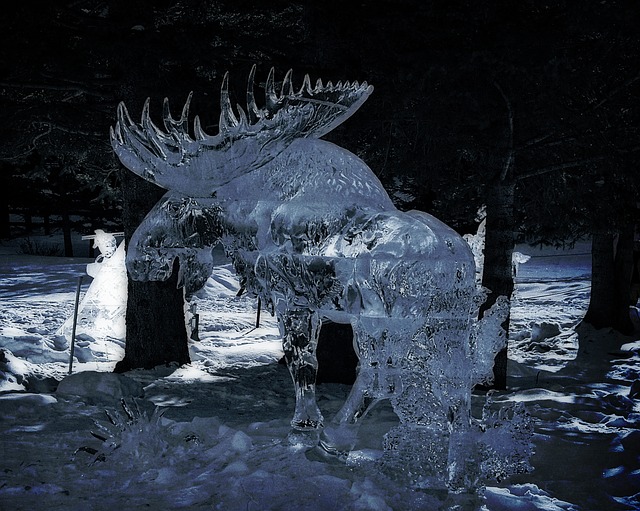 The Enchanting Winter Wonderland of Ice Sculpture (Second Edition ...