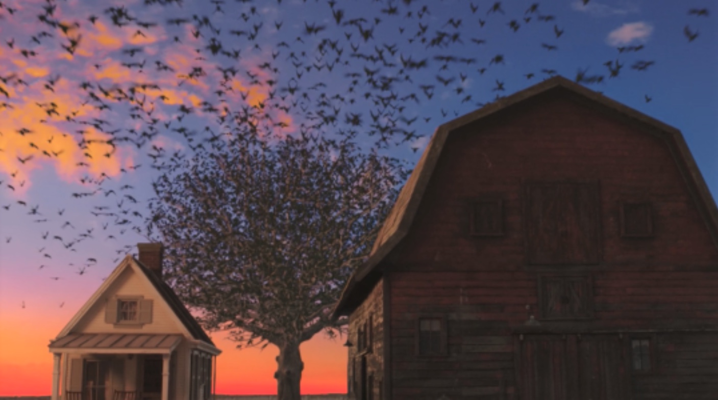 A Series of Unfortunate Events: The Musical – “Murder of Crows” | The ...